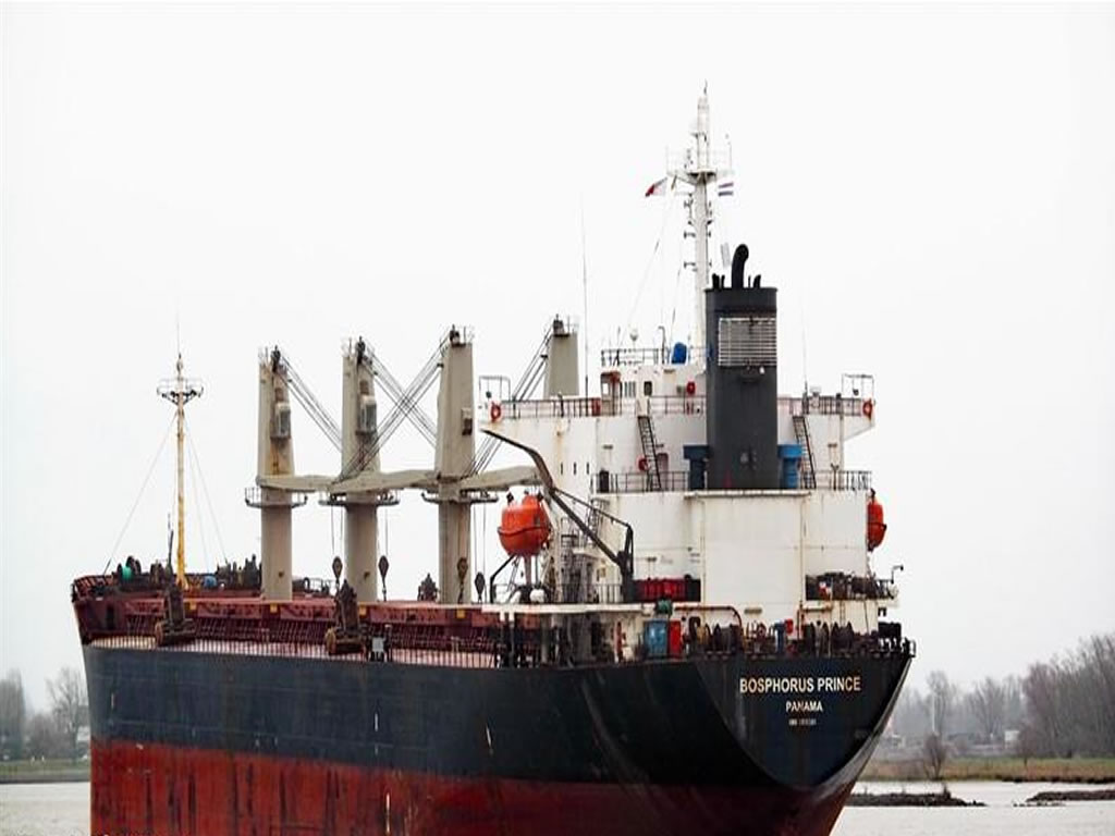 Our Fleet – Efe Chartering